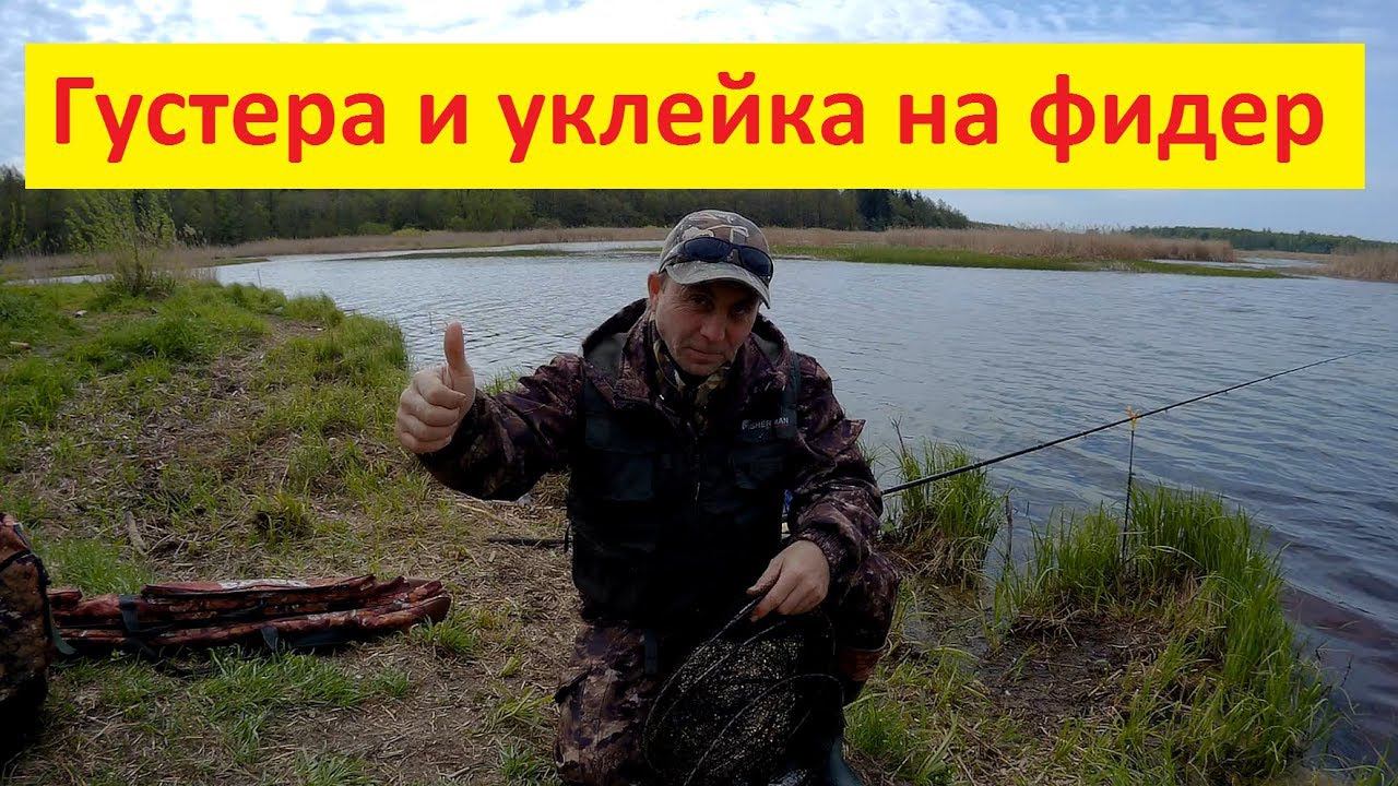 Густера и уклейка на фидер