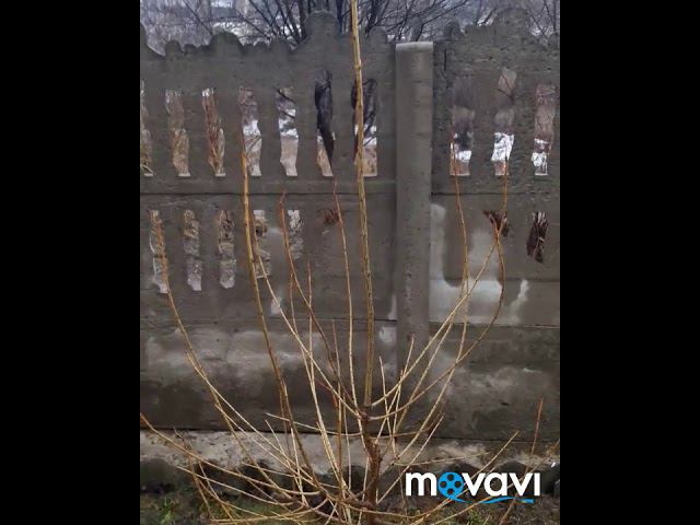 ОБХОД ВЛАДЕНИЙ ПОСЛЕ ЗИМНЕГО СНА!#сад#цветы#плодовыедеревья