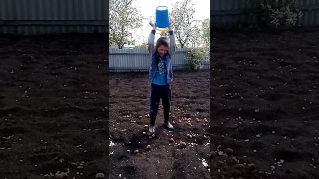 Обстрел дани шамана