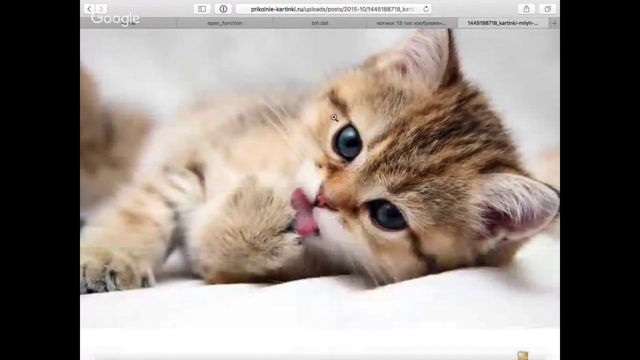 Спецкурс «Научный Python» — 4