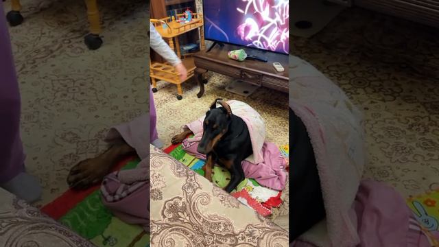 1000005957.mp4