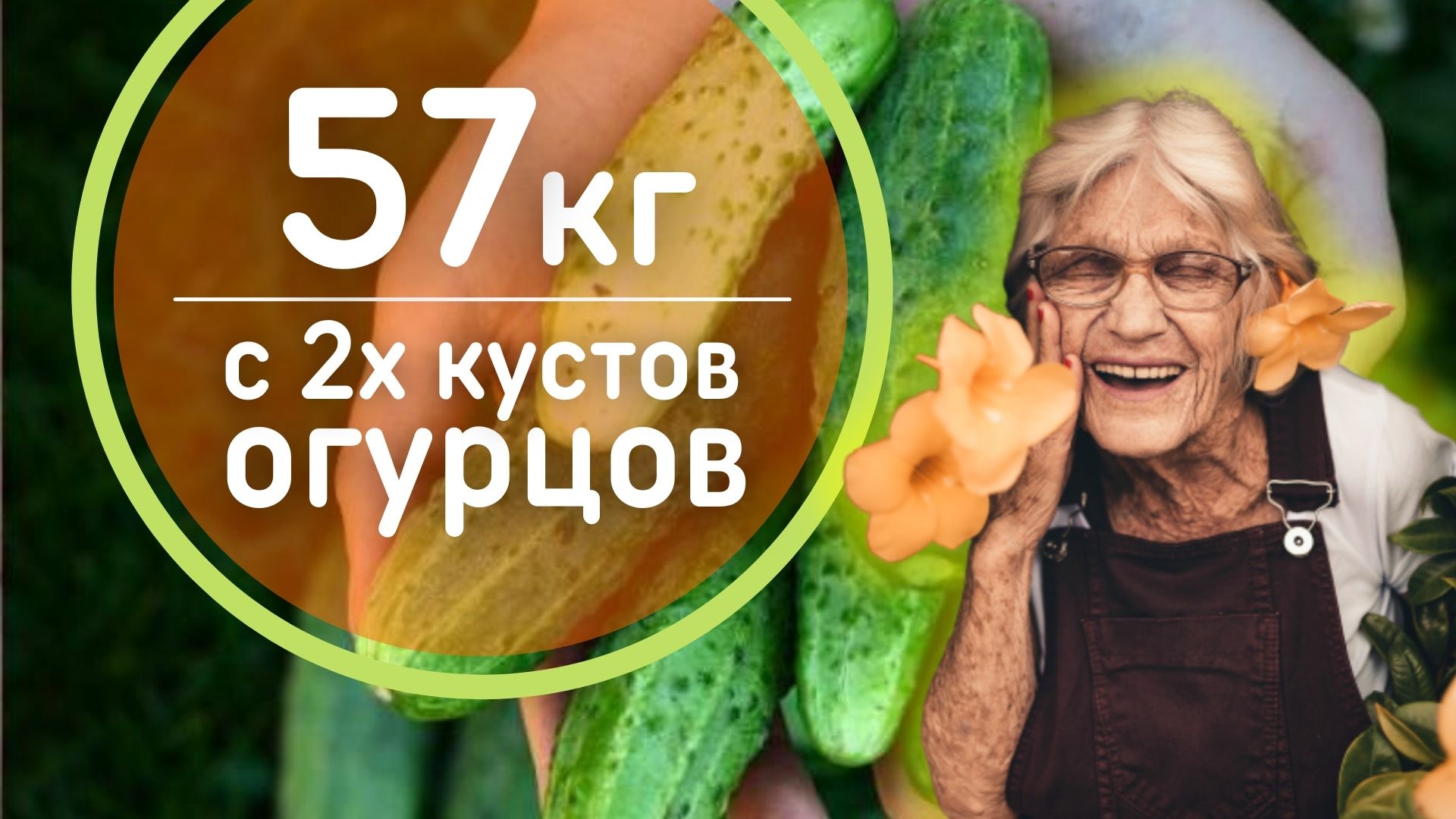 Действительно ли полезны йод и зеленка для огурцов?