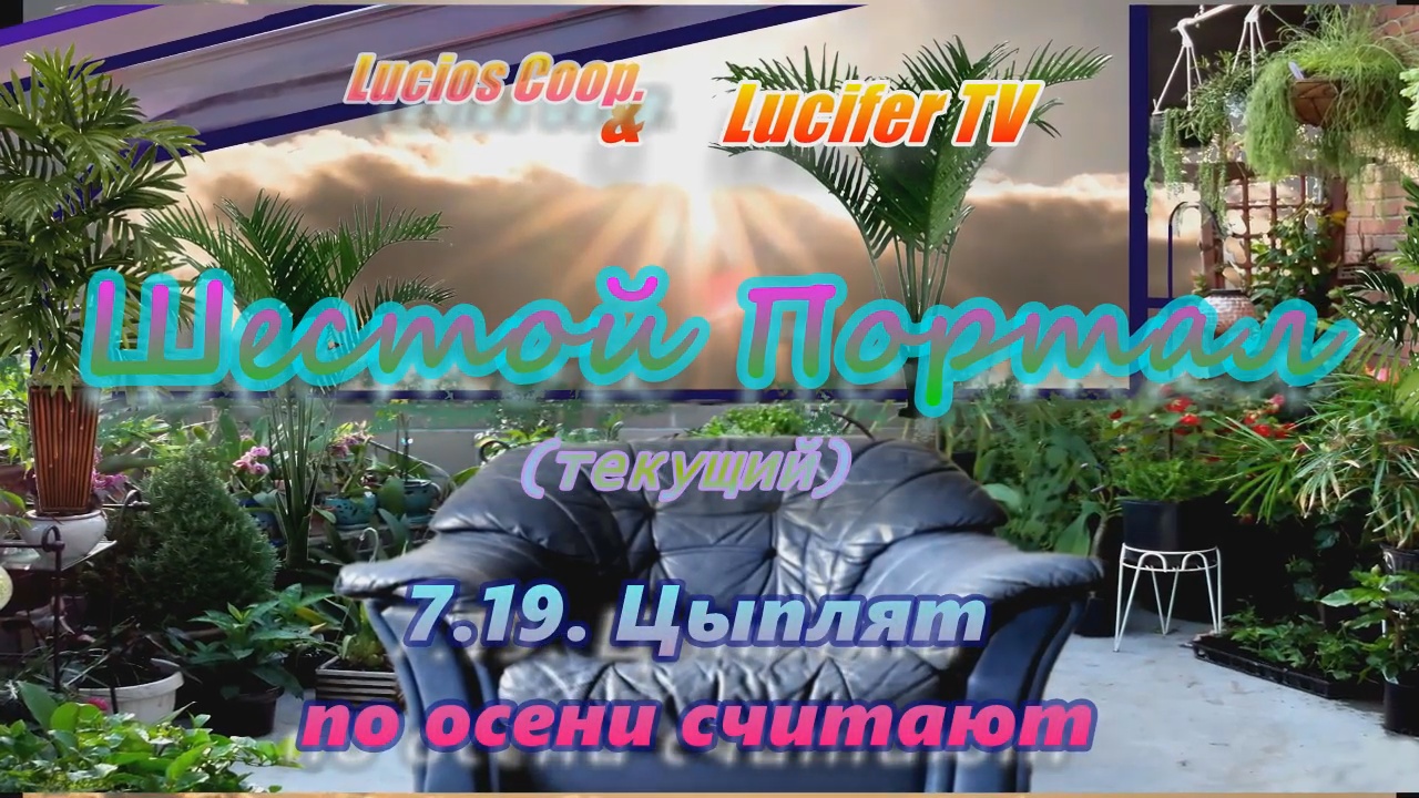 «Шестой Портал (текущий)» 7.19. Цыплят по осени считают