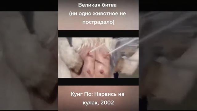 Кунг по.mp4