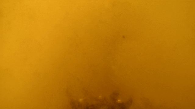 Услуги водолаза и подводных дронов