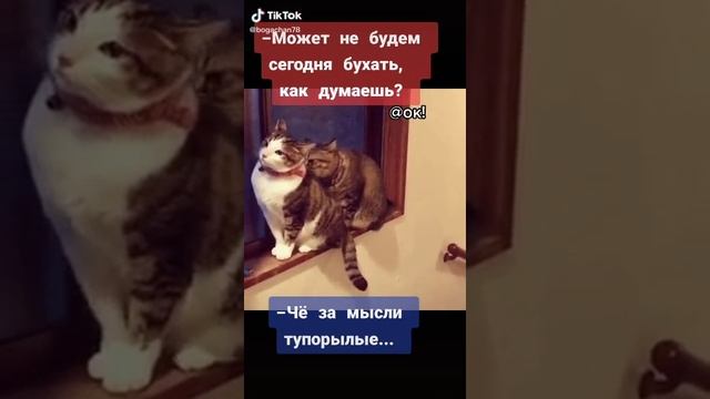 Ржака прикол 8 2023