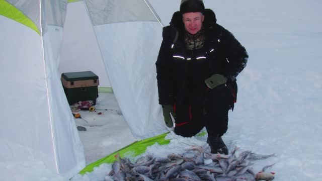 Ловим, ловим, ловим....