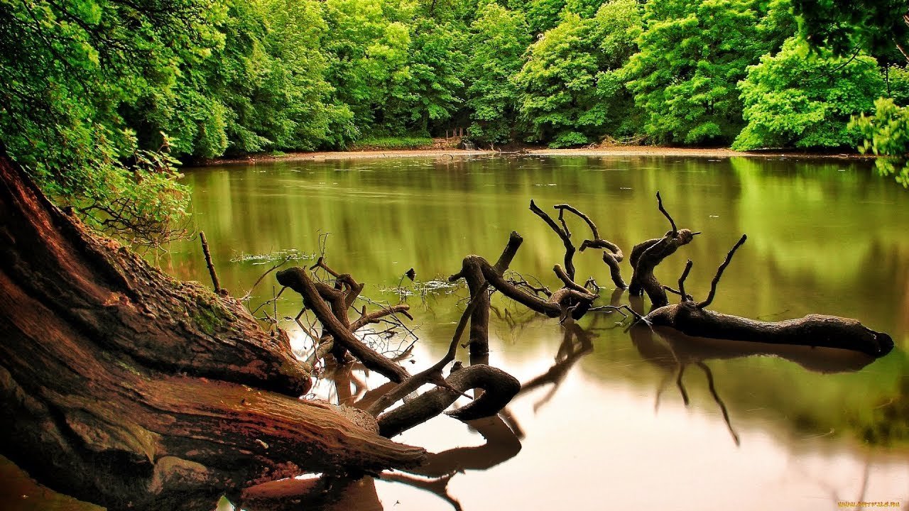 078,МВ на Деме. РР 3.7.3 installsoft.mp4