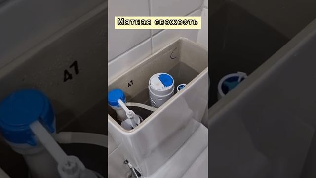 Свежий аромат в вашем санузле. Туалет мечты в вашем доме