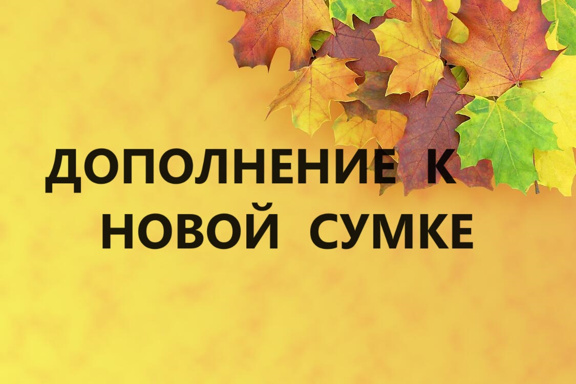 Чехол для очков.Доработка остатков и обрезков.(2023г)
