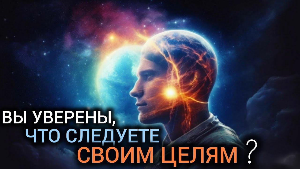 День 61. Чужая цель. |Практический курс трансерфинга реальности за 78 дней.