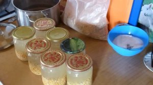 ГОРОХОВАЯ КАША . РЕЦЕПТЫ ДЛЯ АВТОКЛАВА. НА ПАРУ.