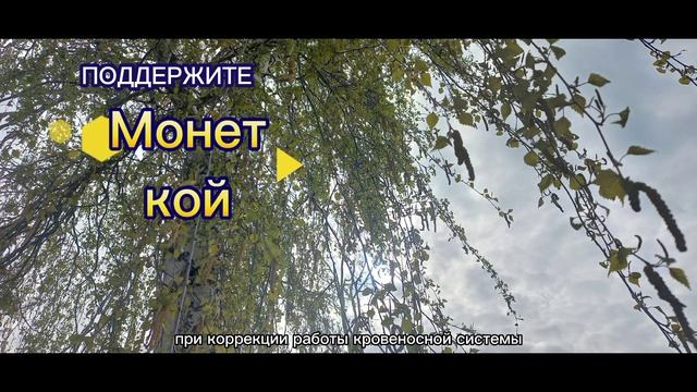 ВИТАМИНЫ