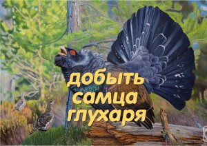 The Hunter classic(добыть самца Глухаря)
