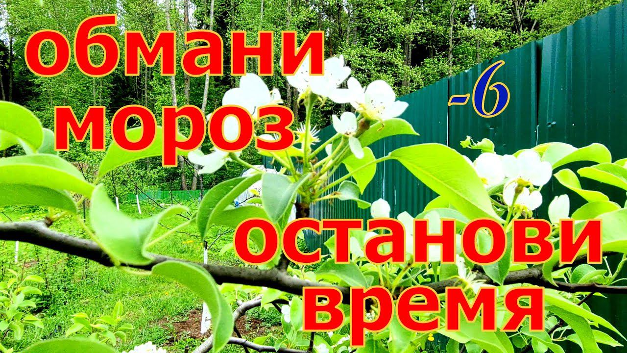 КАК обмануть МОРОЗ! Это простое средство остановит время!