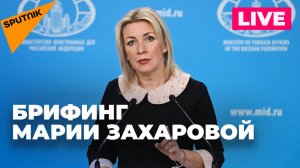Захарова проводит брифинг для журналистов по актуальной повестке