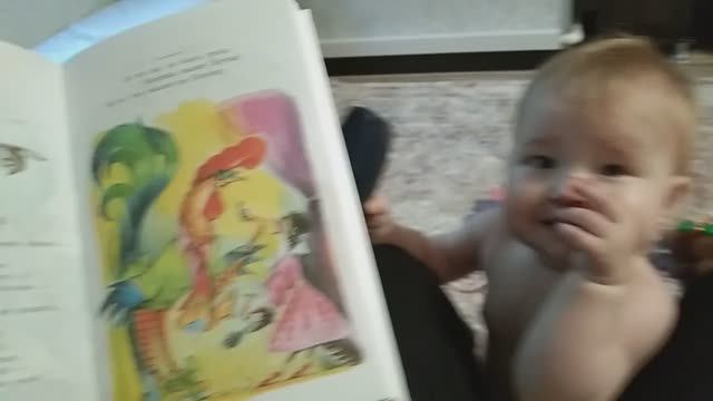 9 июня 2024 (Кукушка и петух)