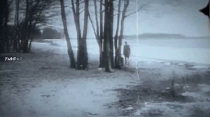 Ананасы в шампанском. Дневник его души