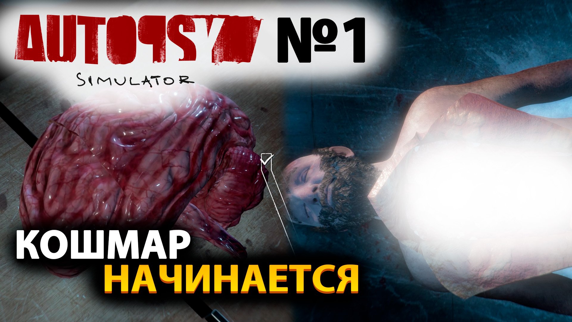 Симулятор вскрытия | Autopsy Simulator. Запись стрима №1. #игры #стрим #игры2024 #смешно #аниме