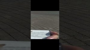 Просроченные зоо товары, будьте внимательны / хороший препарат для кошек рекомендую