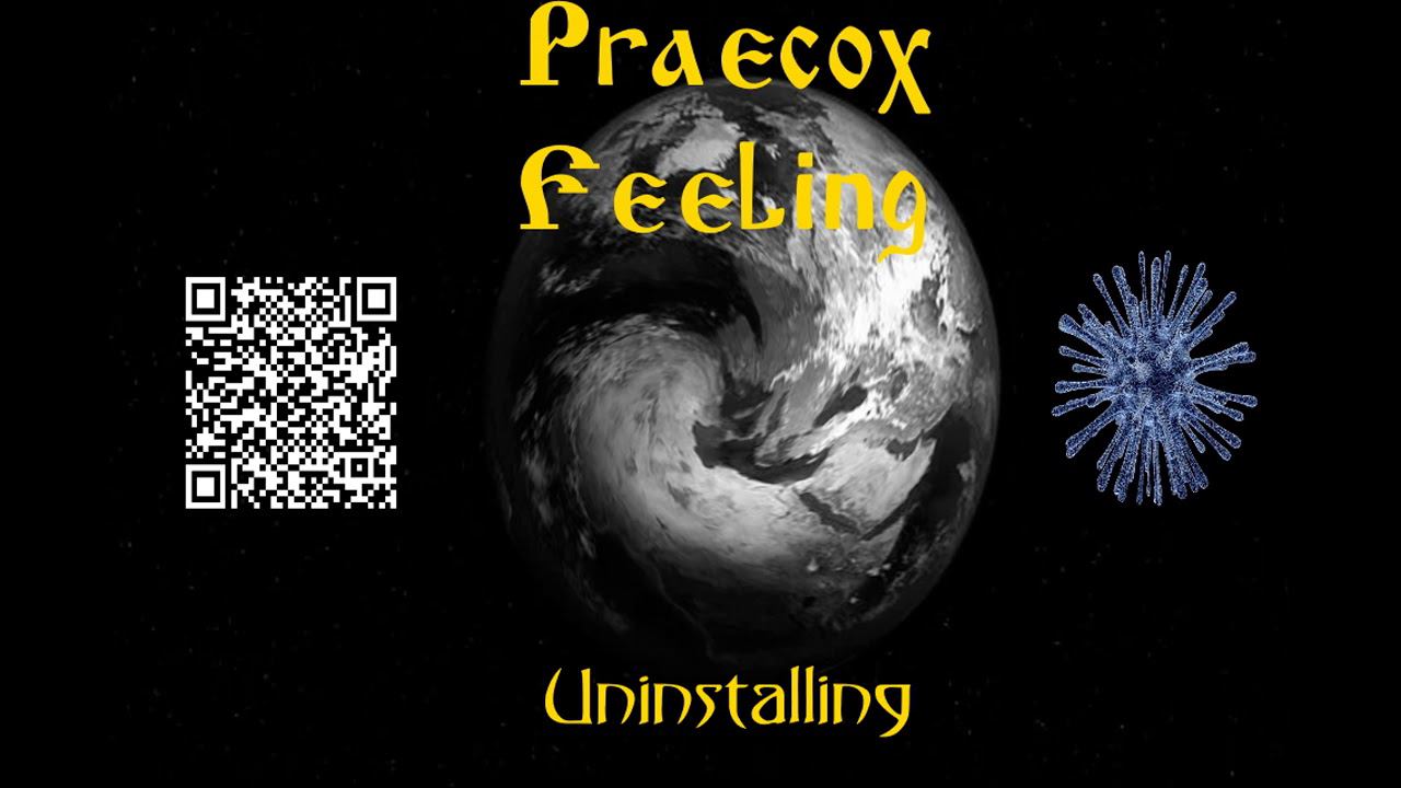 Praecox Feeling-Человек-монитор