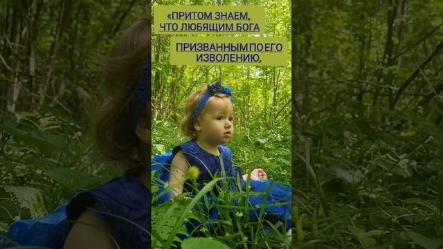 Стихи из Библии, золотые стихи