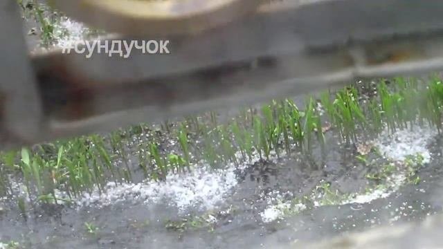 Украина. 29.6.2018  У нас прошёл ливень с градом. Было страшно. Ужас стихийное бедствие.((((.mp4