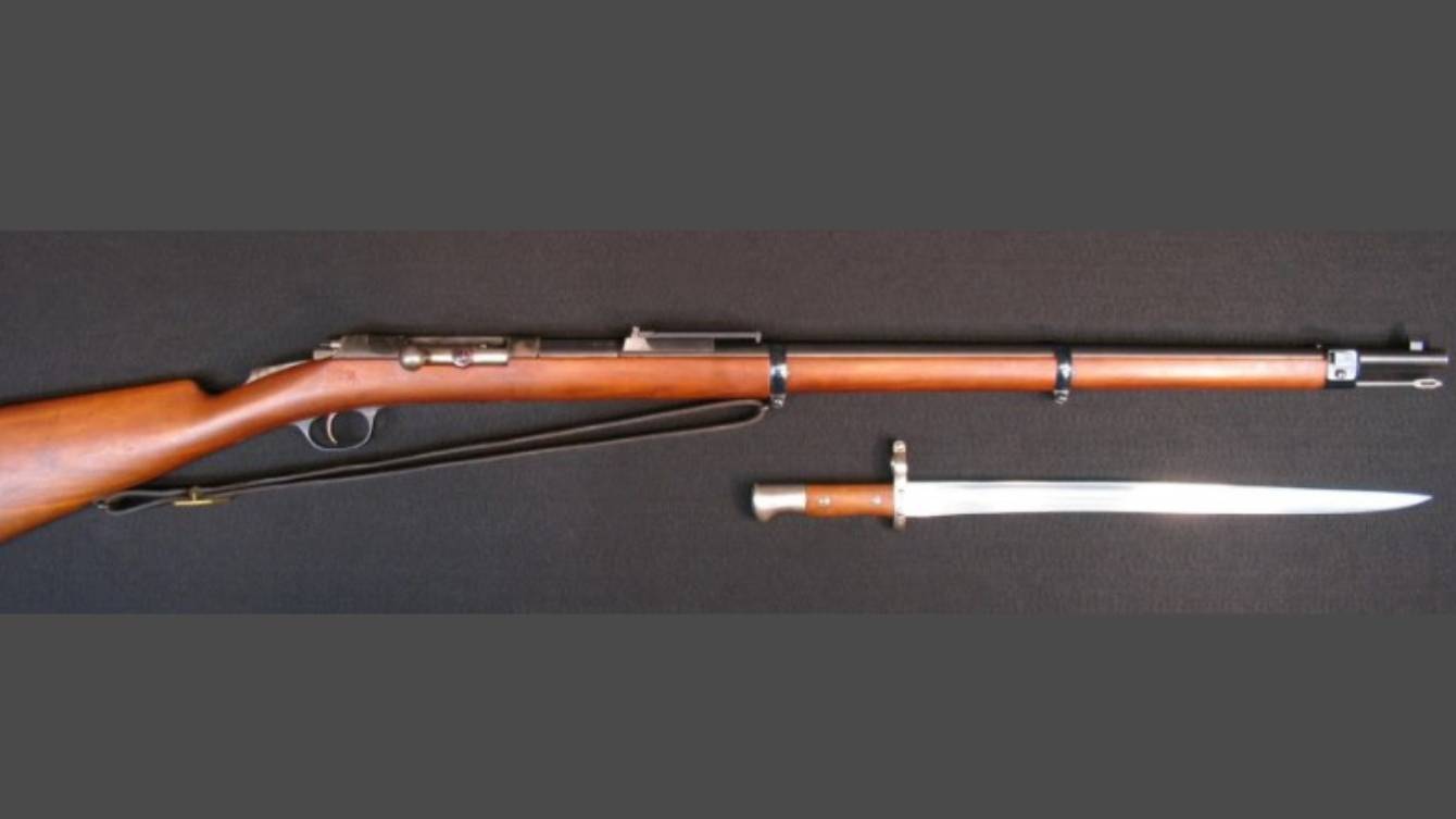 Винтовка Mauser-Milovanovic-Djurich М 18801907