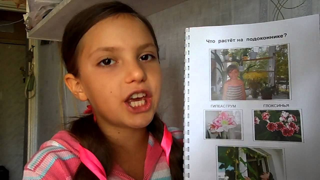 09. Что растет на подоконнике. 1 класс. Окружающий мир.