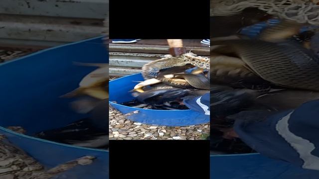 20220621_133728.mp4