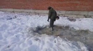 Вся суть армии