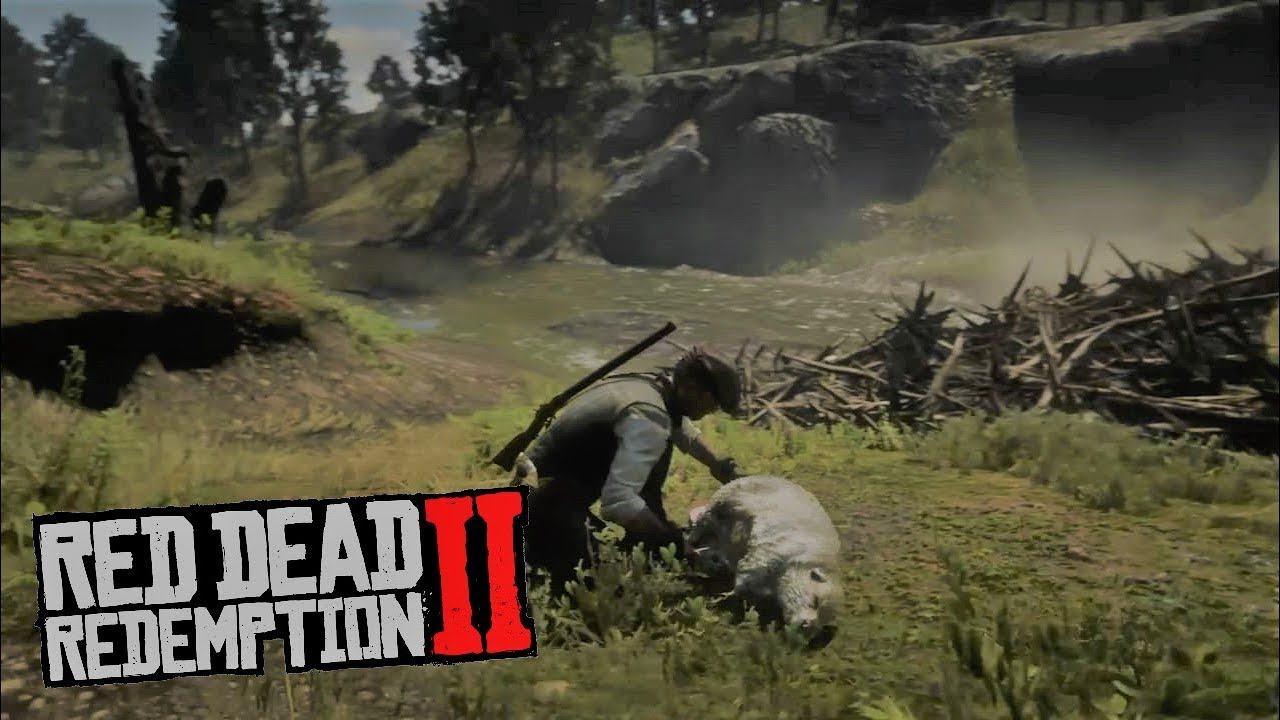 Легендарный БОБР в Red Dead Redemption 2 ► ГДЕ НАЙТИ?