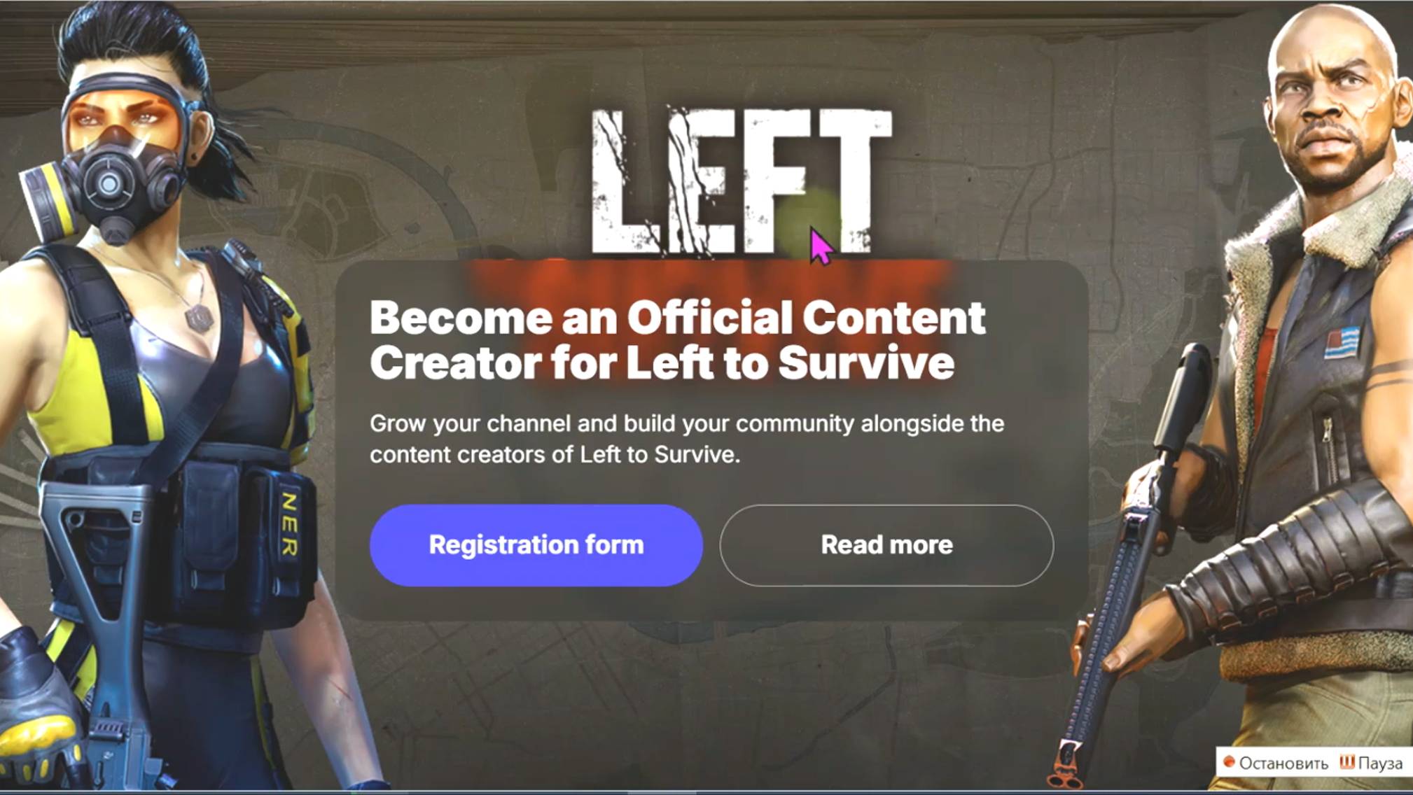 Content Creator