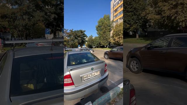 Полезная практика для собаки ❗️ #собака #поденко #поденкоибиценко #москва #собаки #москва