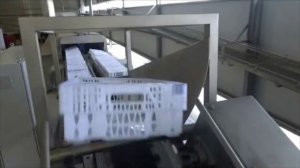 Система мойки и логистики XUCLA 2000 ящиков в час