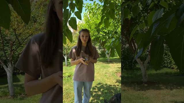 CHOCO DOG шоколад для собак