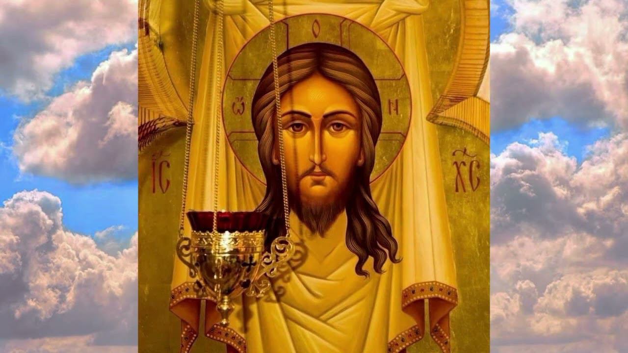 Дивна  Любоевич стихи