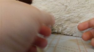 1000000479.mp4