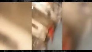 «Русский богатырь» стал грозой налётчиков мигрантов в лондонском метро