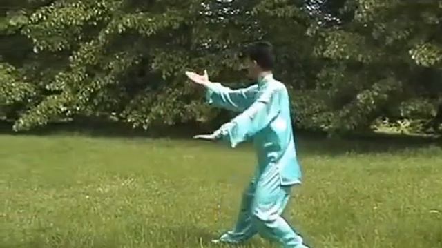 32式太極拳背向演練 ~ | 陳思坦 | 32 form Tai Chi Back View | ~ | Master Chen Sitan ...