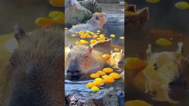 Это дало мне вторичное расслабление.mp4