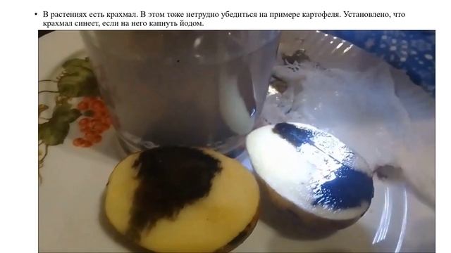 Из каких веществ состоит растение биология 7 кл.mp4