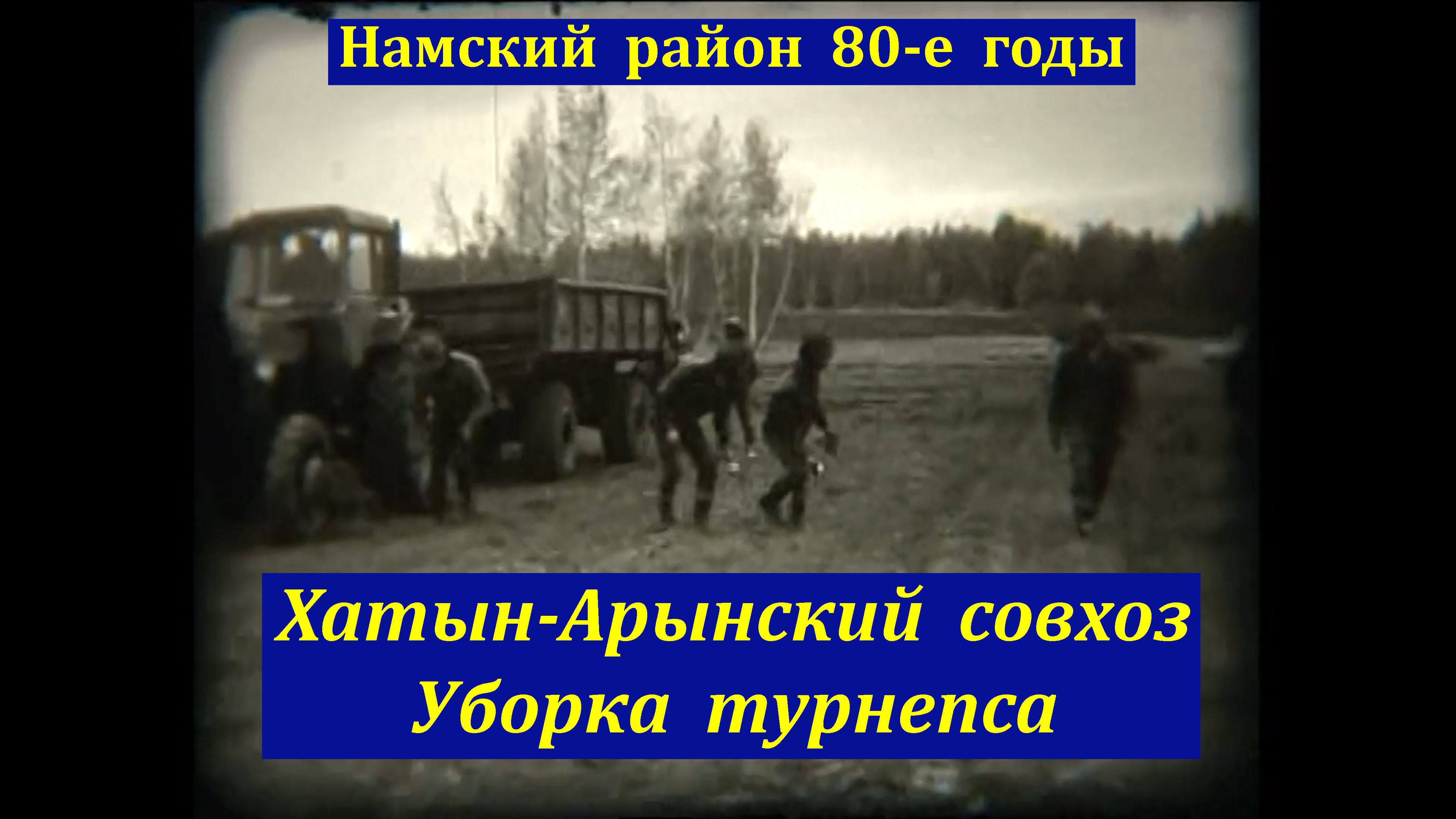 Хатын-Арынский совхоз. Уборка турнепса.
Намский район 1980-е годы