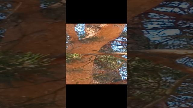 VID20230502114047.mp4