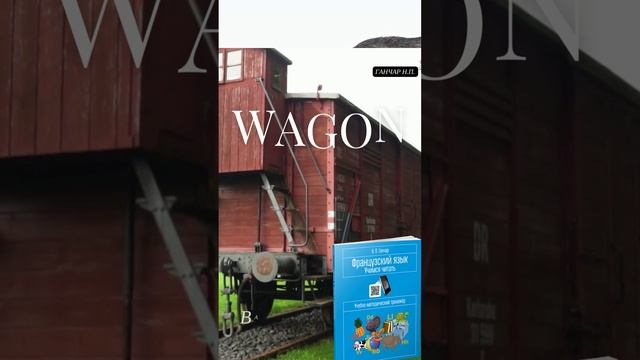 Французский W1.mp4