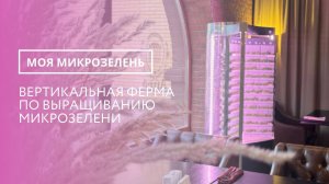 Вертикальная ферма по выращиванию микрозелени для сегмента HoReCa
