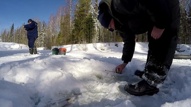 Закрытие зимнего сезона рыбалка. За хариусом