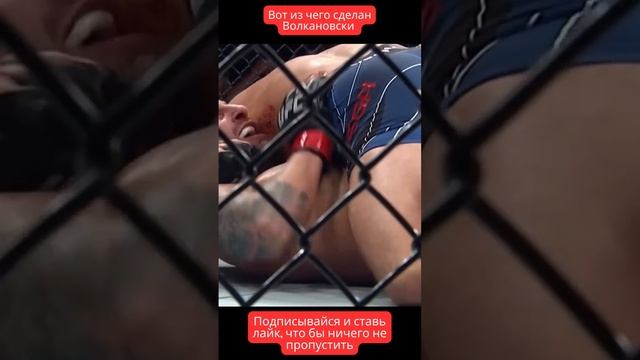 Вот из чего сделан Волкановски