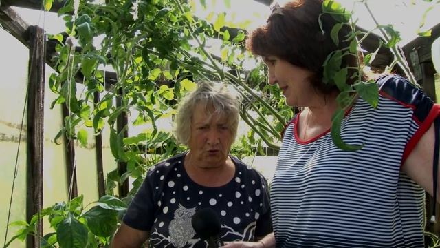 В гостях у Эрики Георгиевны Тереховой. Часть 1. Огородные культуры.