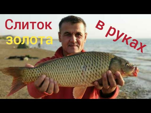 Рыбалка на озере Тудакуль , ловим сазана . ( Сarp fishing on Tudakul lake ).